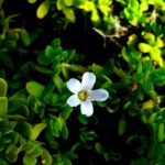 UltraBrain - Human Optimization