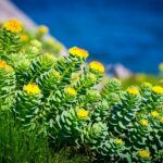 UltraBrain - Human Optimization