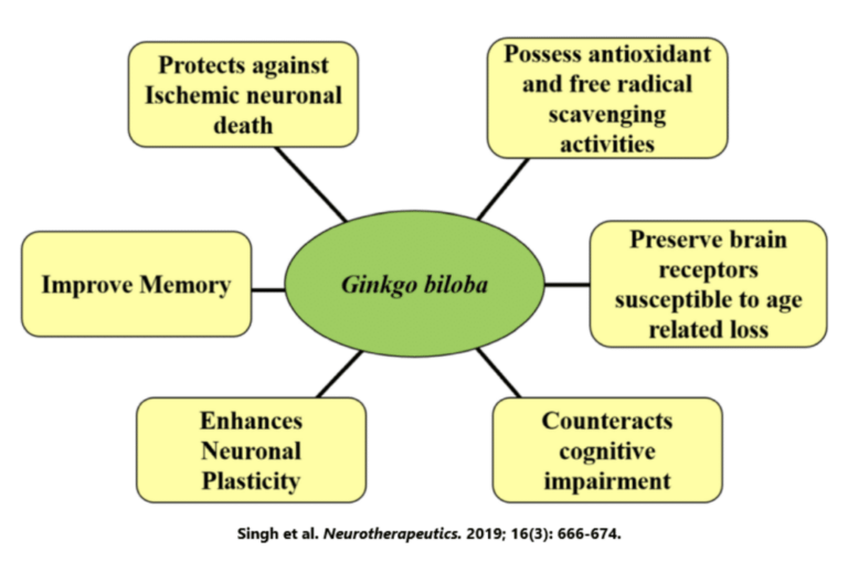 UltraBrain - Human Optimization