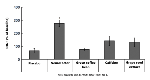 UltraBrain - Human Optimization
