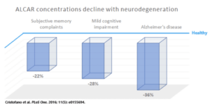 UltraBrain - Human Optimization