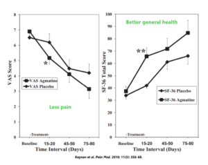 UltraBrain - Human Optimization