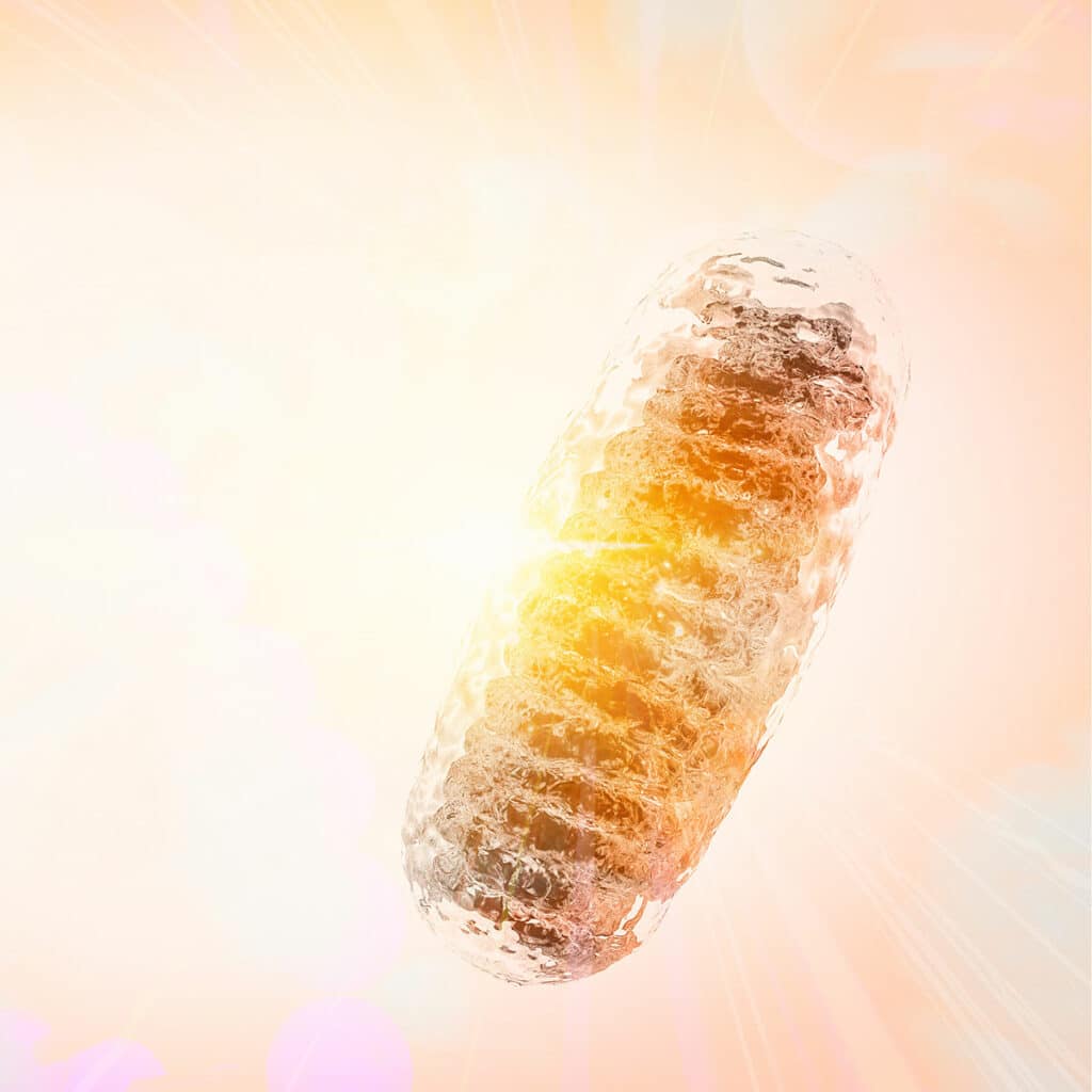 Longenesis - Human Optimization