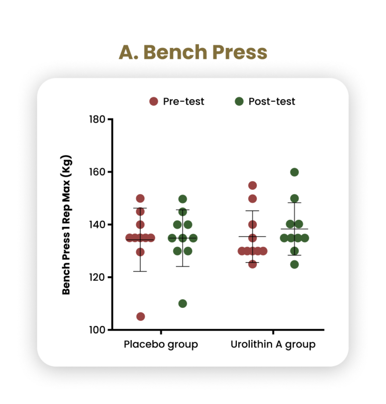 Urolithin A - Human Optimization