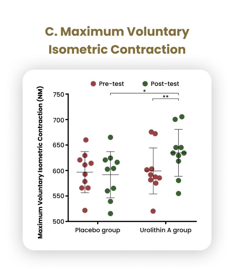 Urolithin A - Human Optimization
